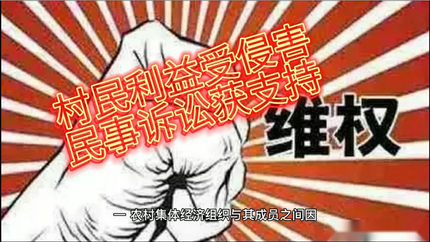 侵害集体经济组织成员权益,可提起民事诉讼并获法院支持