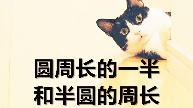 圆周长的一半和半圆的周长