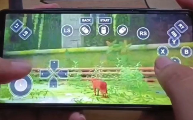 海星云电脑,玩猫猫模拟器《stray迷失》