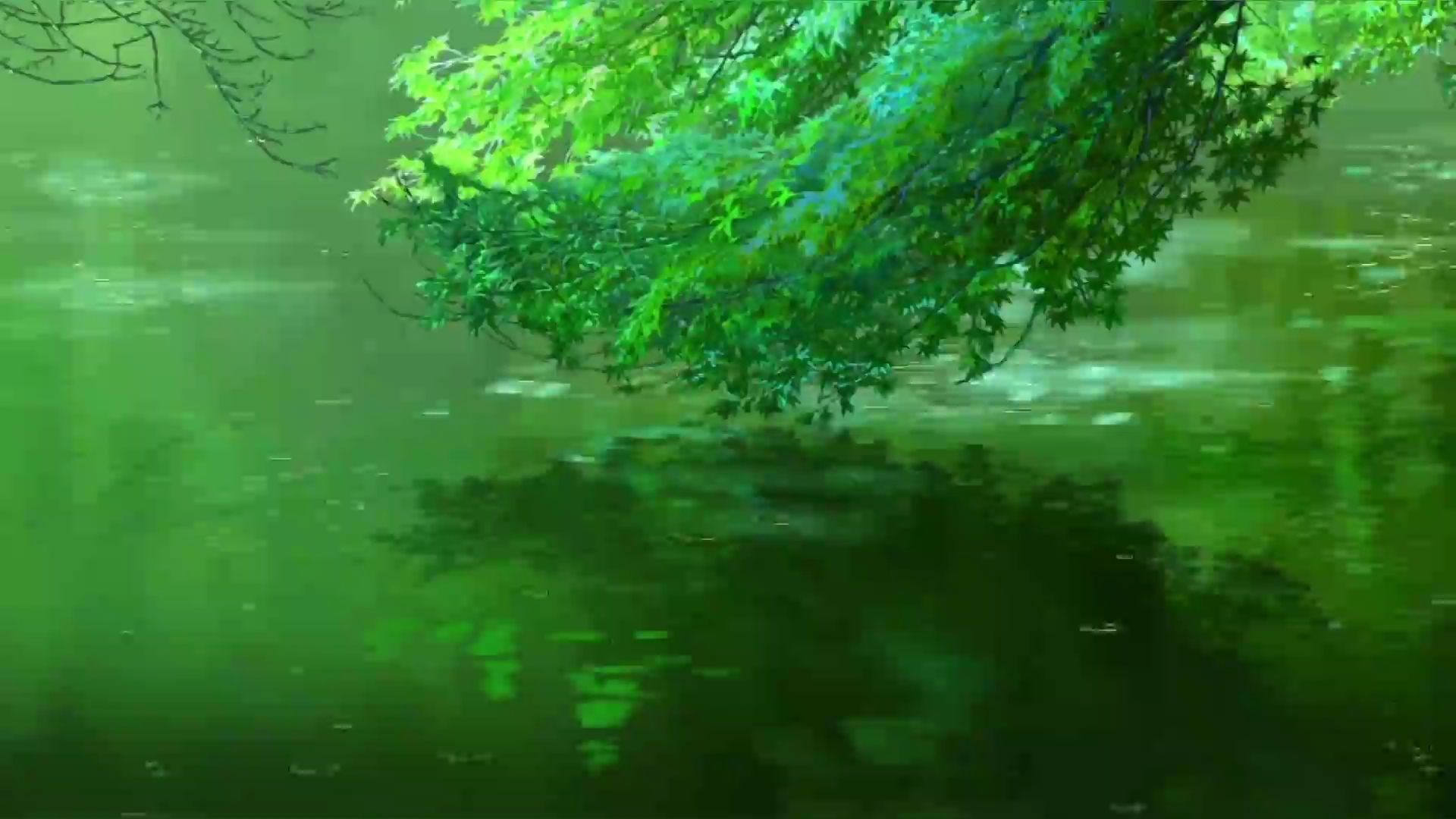 一个下雨的小视频