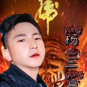 杨三宫纸影视