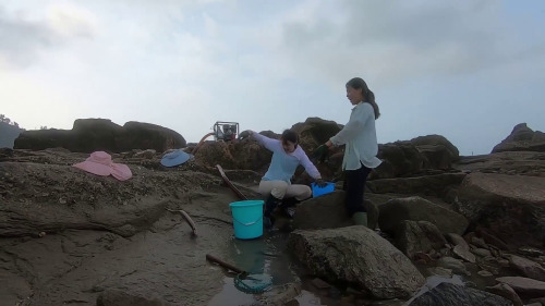 皮皮选中海边好坑,抽干海鲜多到抓不完,叫猪猪一起来帮忙
