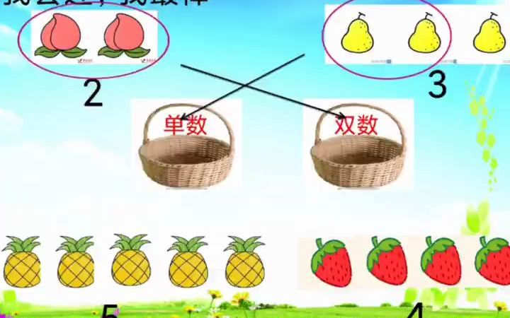 幼儿园大班优质公开课《有趣的单双数》设计意图:《指南》中明确...