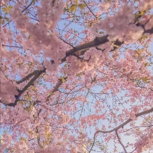 楠姐聊财经 