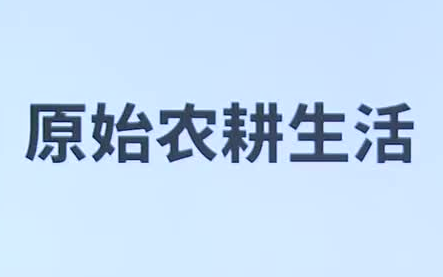 【七上历史】第2课-原始农耕生活