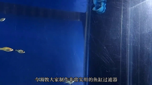 制作鱼缸过滤器,功能强大,可迅速清理鱼缸