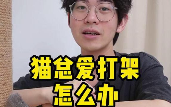 【猫咪】家里的猫咪爱打架,用这2个办法让它们关系变好