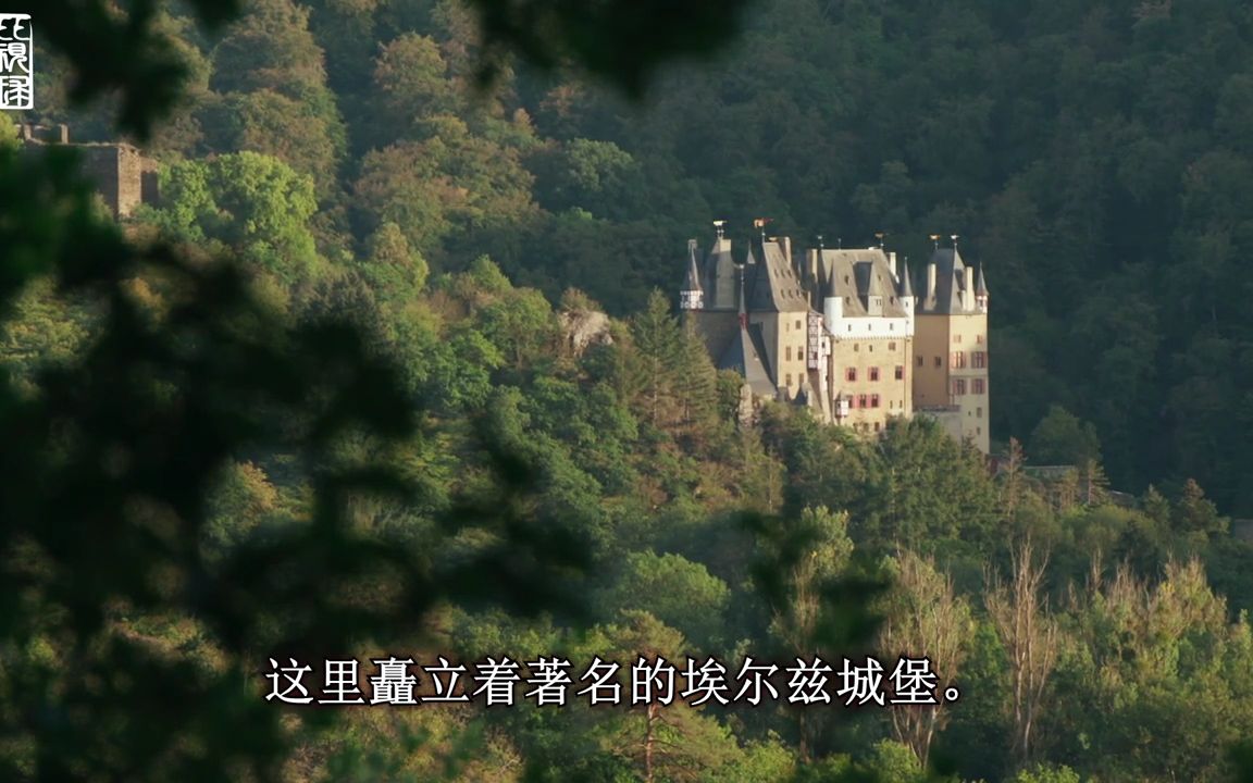 德国几乎灭绝的猫头鹰种群数量出现回升 最大及最小的猫头鹰种类