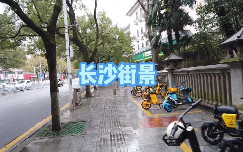逛逛长沙街景,去省博物馆前,需要提前一天预约