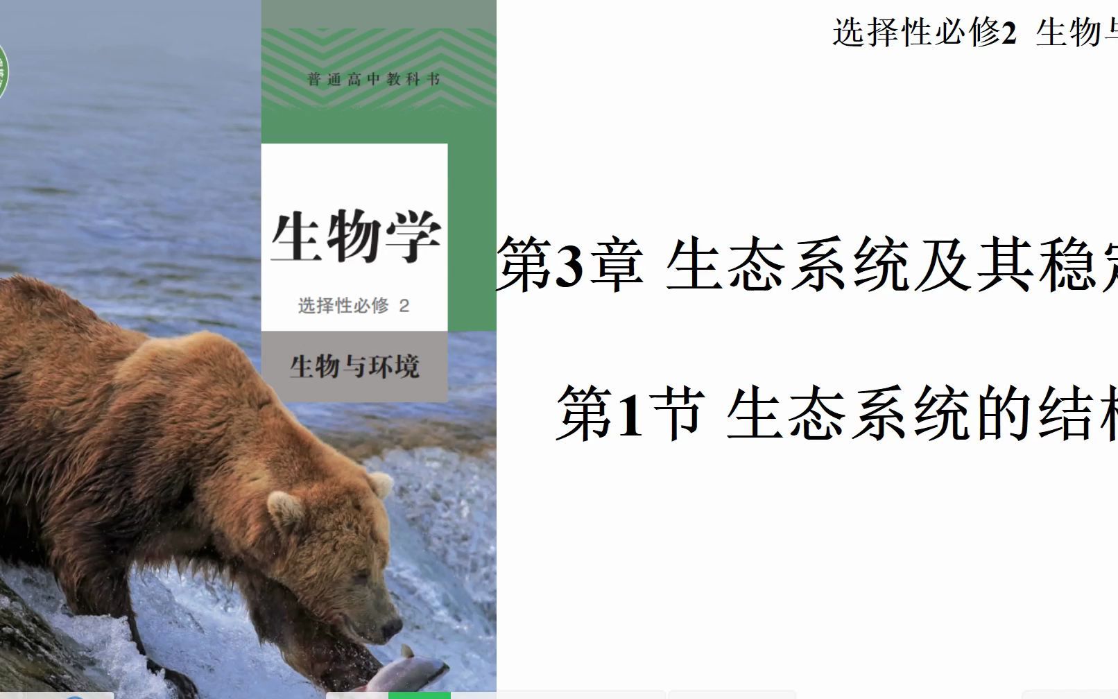 3.1生态系统的结构