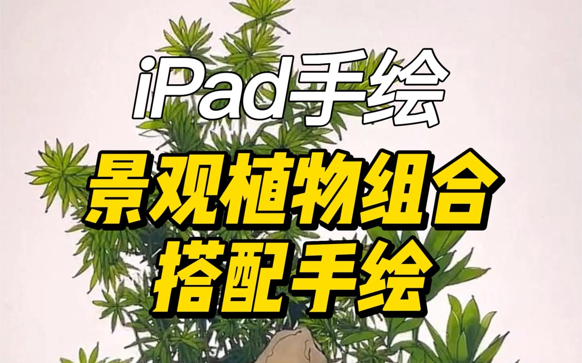 一台iPad画出不同景观植物搭配设计小组合#园林景观#景观手绘#植物...