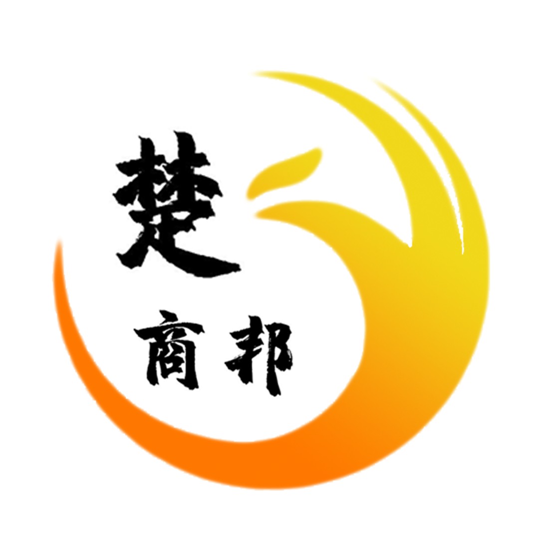 楚商邦武汉财务咨询 