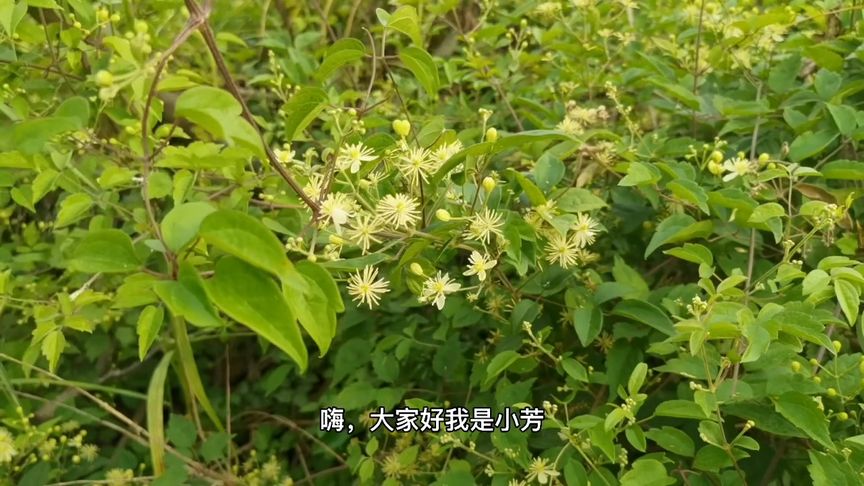 如果辛苦不可避免,那么劳动成果得到认可就是最好的价值体现。