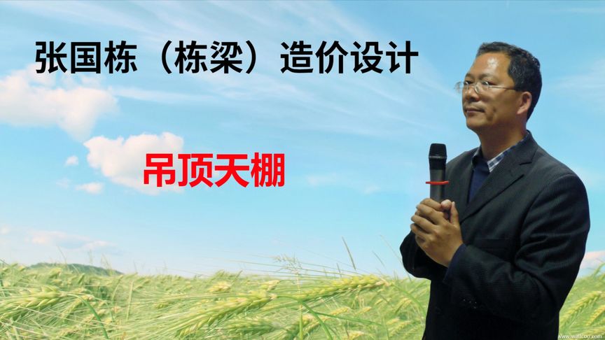 张国栋(栋梁)造价设计:如何计算吊顶天棚的个性化结构工程