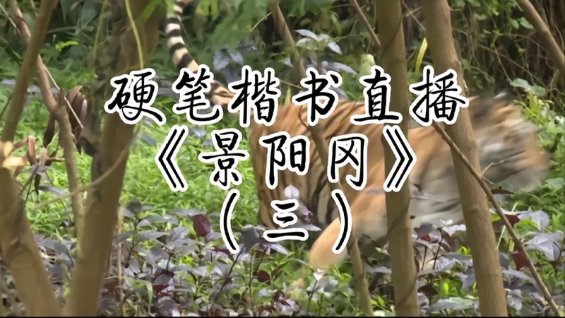 硬笔楷书直播:《景阳冈》(三)