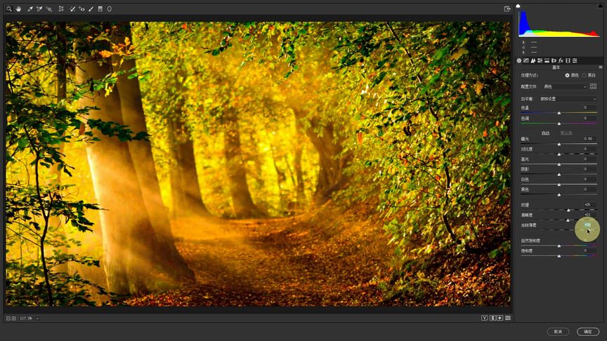 摄影后期PS-Camera Raw滤镜面板菜单的入门介绍