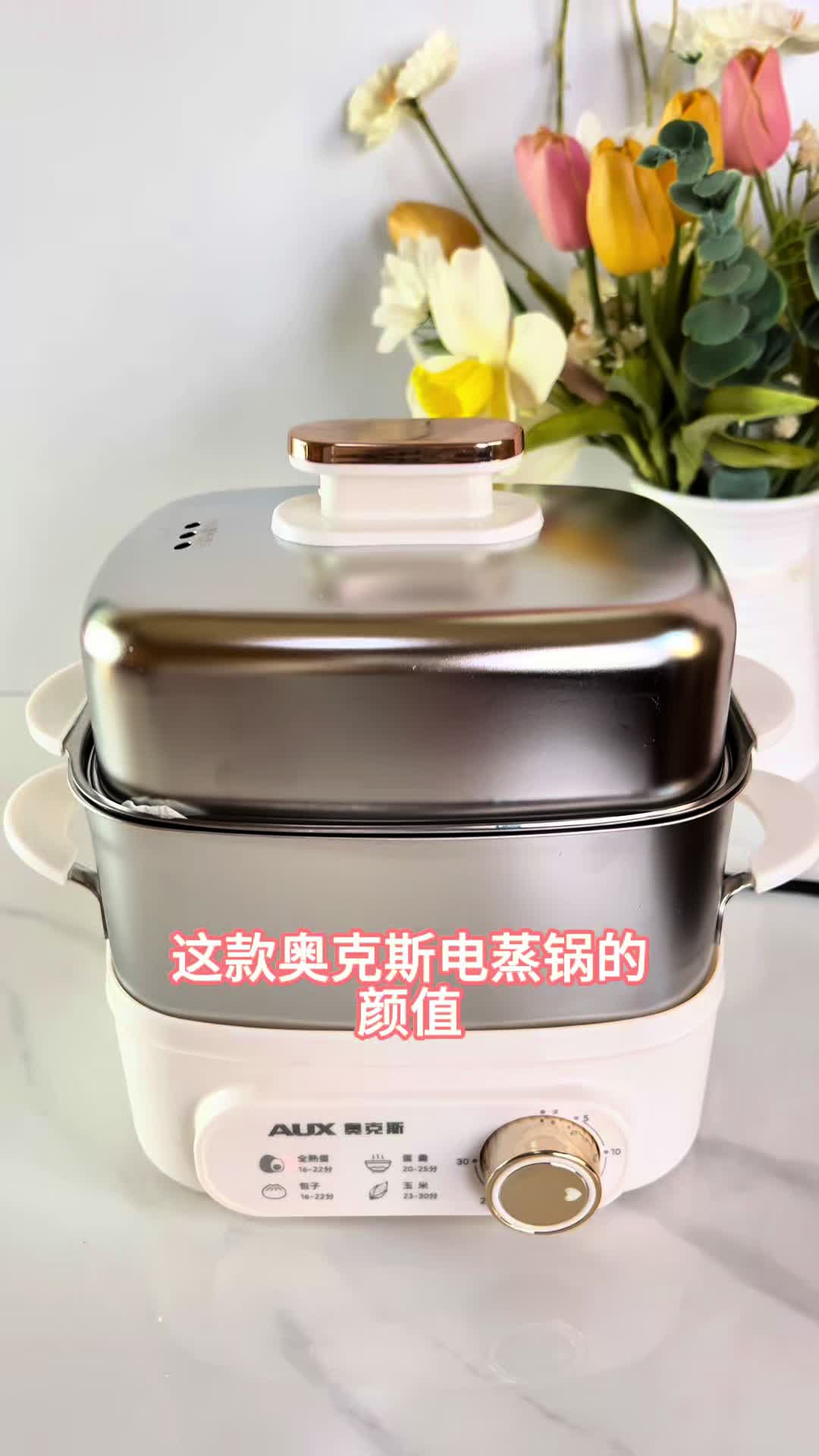 奥克斯电蒸锅蒸蛋器 早餐神器奥克斯电蒸锅预约定时方便实用#电蒸锅...