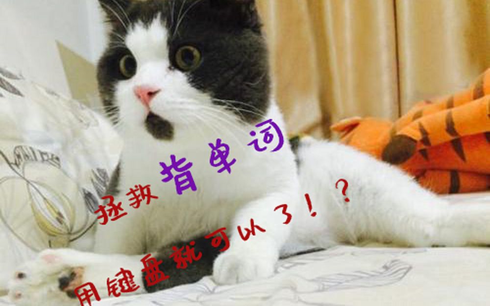 真的假的?可以用键盘拯救你的背单词健忘症!