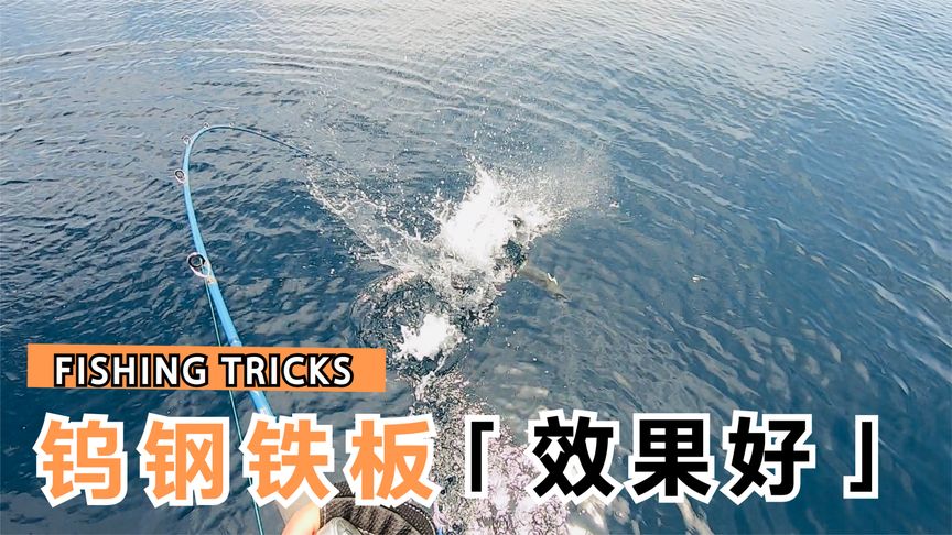 钨钢铁板虽贵却好用,体积小重量高,鱼口不好时可以尝试使用
