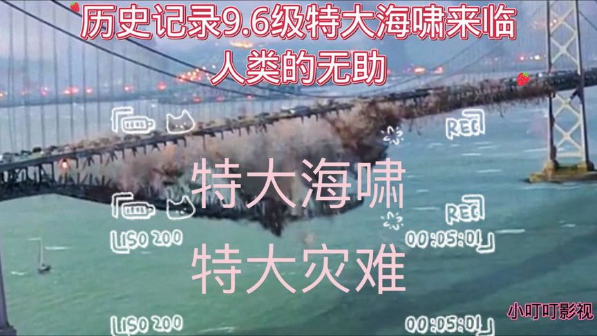 历史记录9.6级特大海啸来临时人类的无助