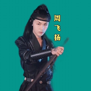 飞扬看视界
