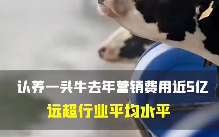 认养一头牛去年营销费用近5亿