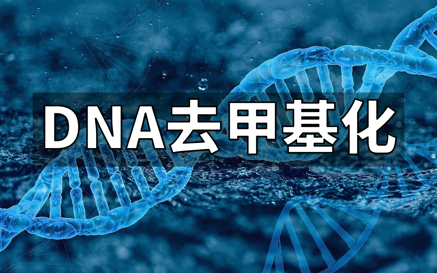 表观遗传系列-4. DNA去甲基化:努力和躺平,或许是殊途同归