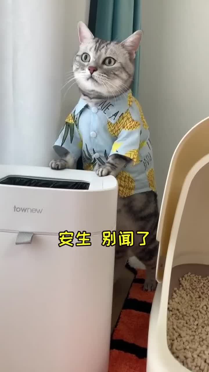 泡芙和安生终于又见面了!