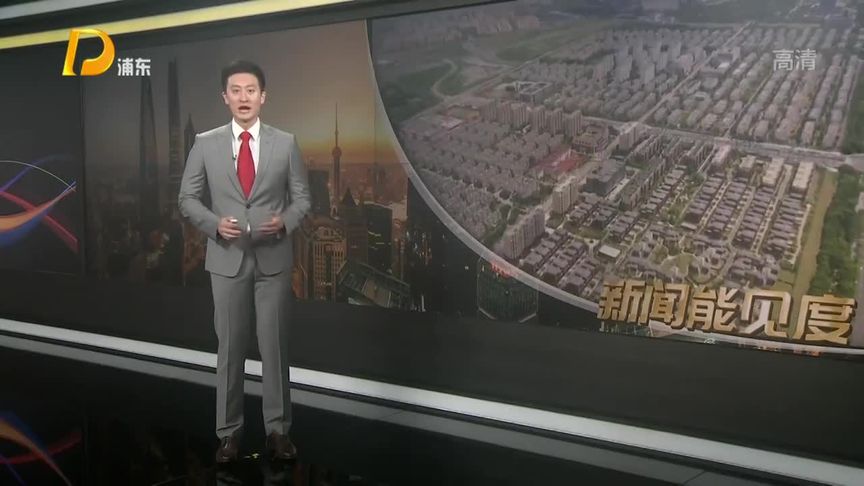 开放新片区 产城新融合:聚焦打造高质量发展的战略增长极