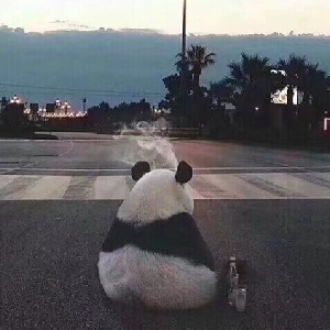 在无- 