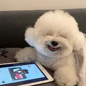 爱吃瓜的搞楼人 