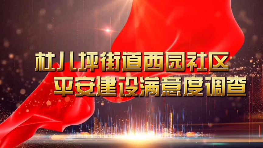 杜儿坪街道西园社区,平安建设满意度调查宣传小视频