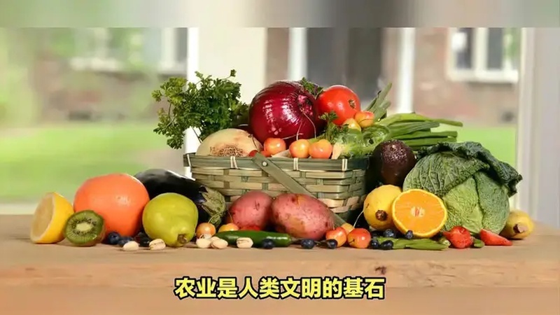 农产品质量管理:优质农产源于科学管理
