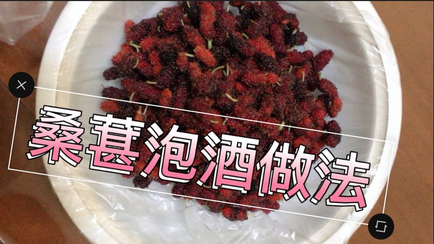 新鲜野生桑葚泡酒做法,简单实用。酒质鲜红透亮。太漂亮了