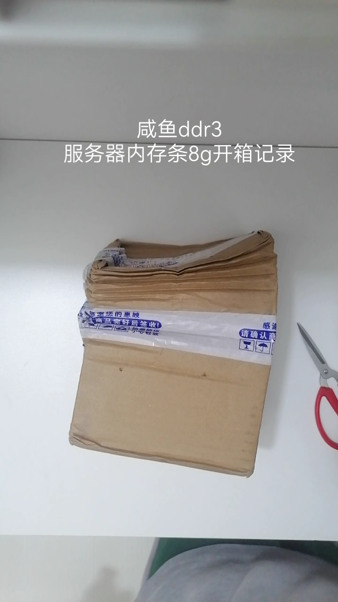 闲鱼DDR3,8G服务器内存条开箱记录
