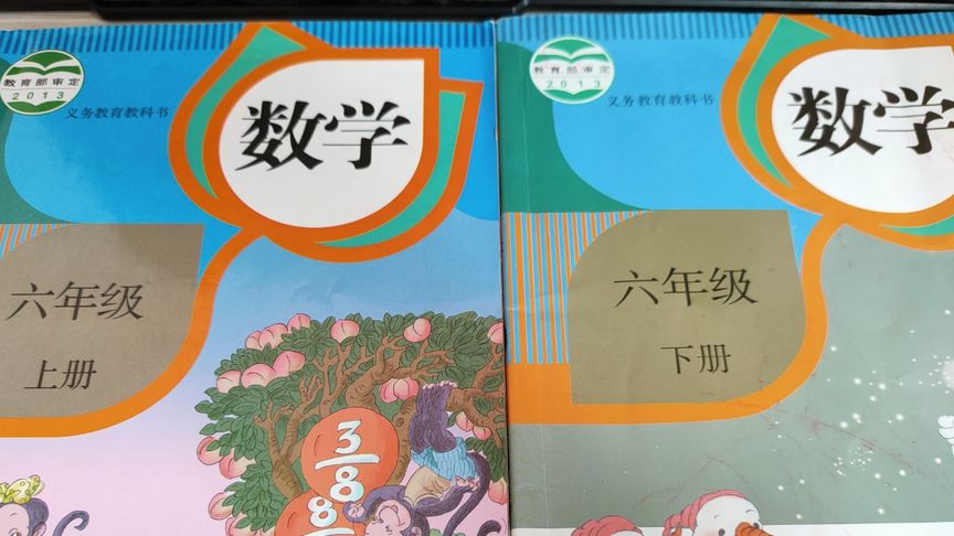 专题:六年级下册复习之分数的意义、分类和性质