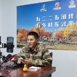 新疆兵哥沙漠枣 