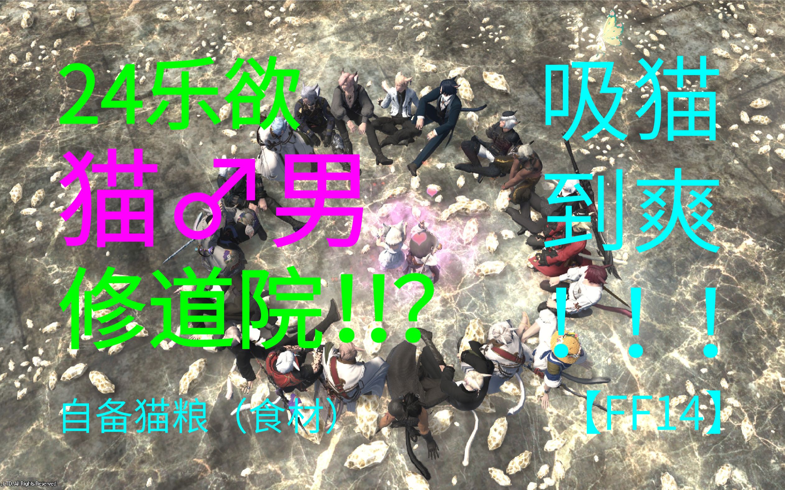 【FF14】乐欲猫男♂修道院(吸猫猫)快来领一只可爱性感给里给气的猫...