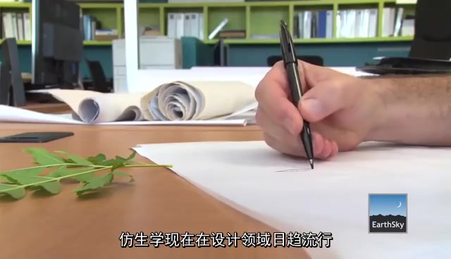 什么是仿生学_中文字幕
