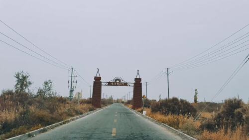 生活在胡杨下一个座落在胡杨林中的村庄,房前屋后、田间地头