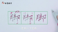 妙墨练字加盟:硬笔书法部编版语文二年级上册同步生字“脚”字的写法