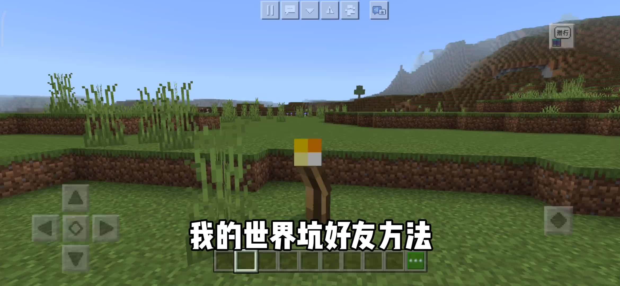 我的世界实用小技巧 我的世界