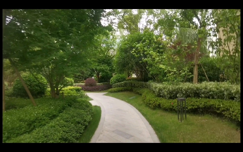 合肥滨湖神仙花园小区文一地产塘溪津门绿化覆盖率也太高了吧!