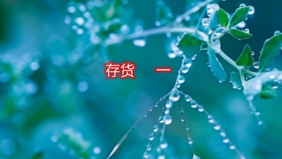 用友T+如何增加存货一#财务 #会计日常 #会计实操