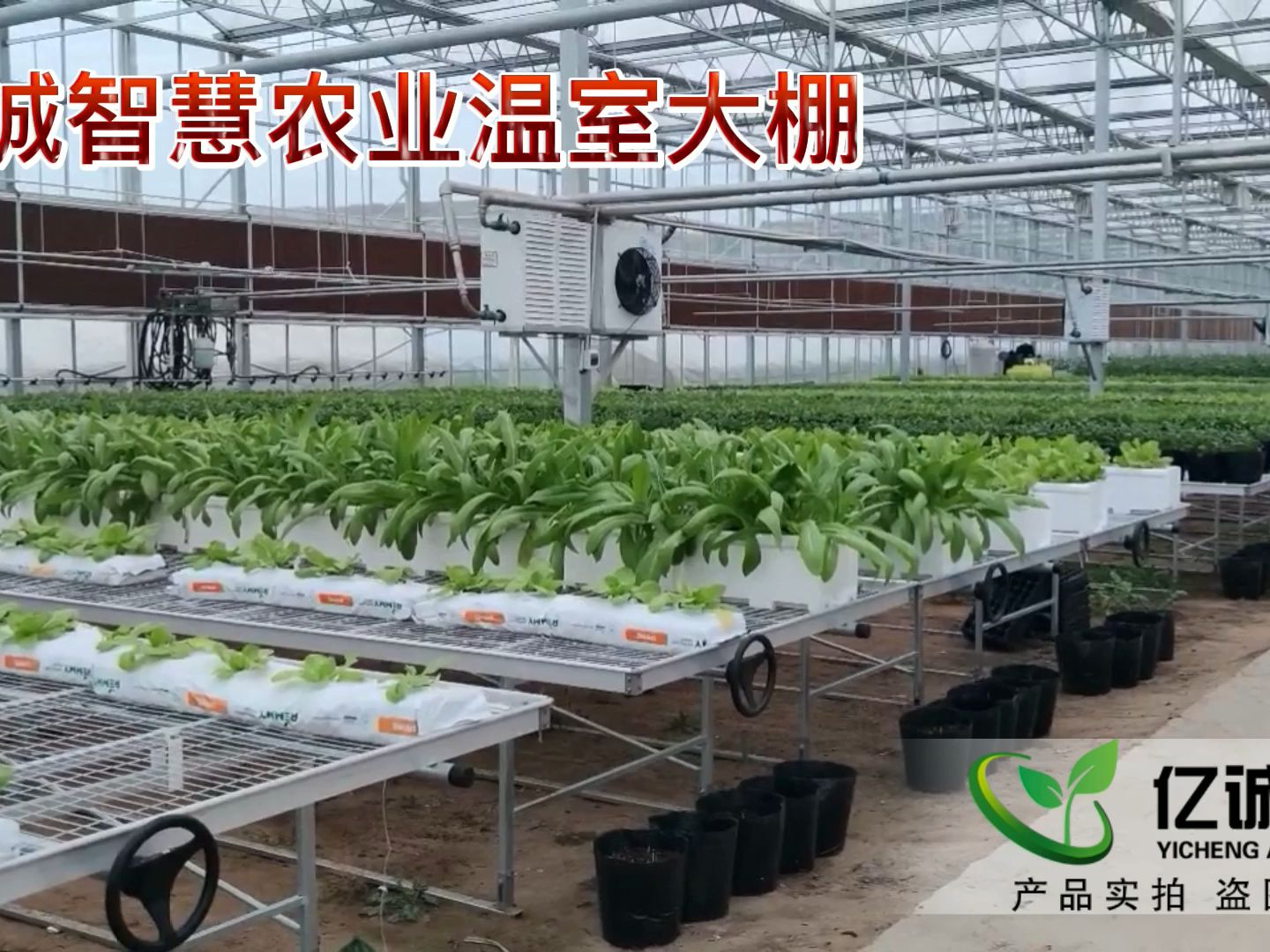 亿诚农业智慧农业温室大棚项目现场 现化化农业园区运营