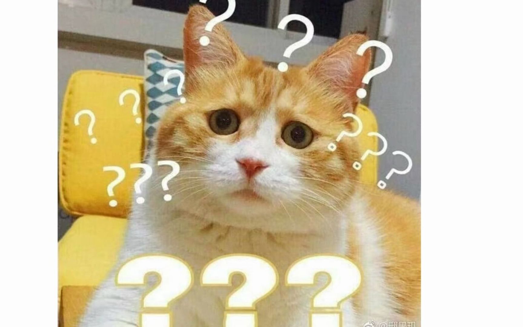 心理咨询是什么?字幕版