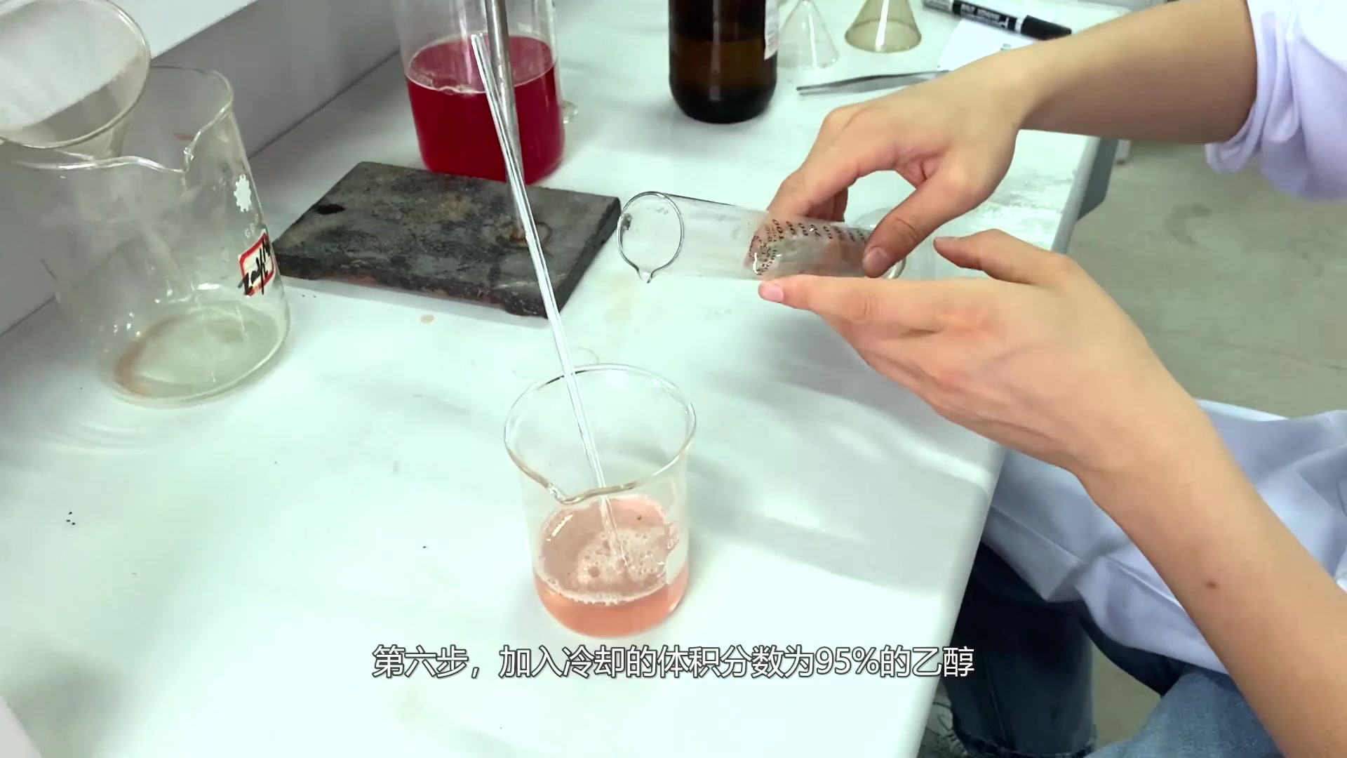 二-DNA的粗提取与鉴定 选修一专题5.1