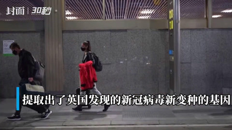 30秒|意大利发现1例从英国入境的新冠病毒新变种病例