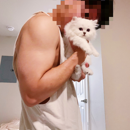 猛犸象驾驶员小张 