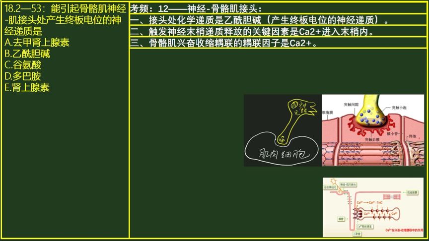 医师资格证考试,考过12次的考点是什么?